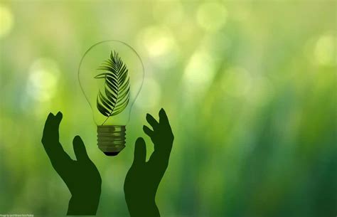 Deloitte Announces Global Sustainability Climate Learning Program To