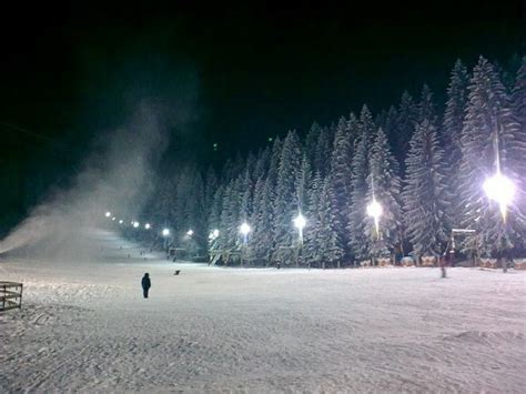 Partia Bradul Din Poiana Brasov Partii Schi Brasov Sky Trip