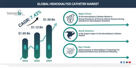 Global Hemodialysis Catheter Market Size And Growth Infographic