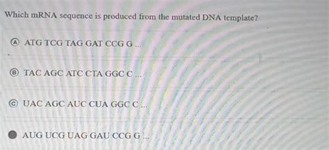 Solved Which Mrna Sequence Is Produced From The Mutated Dna Template