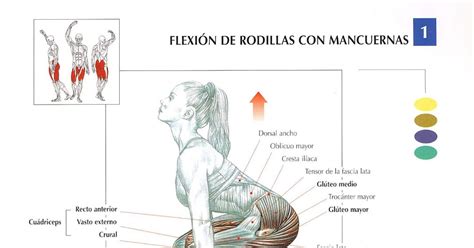 Ejercítate 365 FLEXIÓN DE RODILLAS CON MANCUERNAS HOMBRE