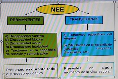 Tomidigital Necesidades Educativas Especiales