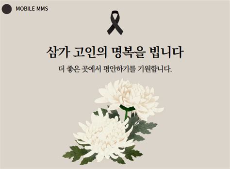 부산 가족처럼 모시는 방문간호 방문요양 방문목욕 달명방문재활간호센터에서 시작하세요 네이버 블로그