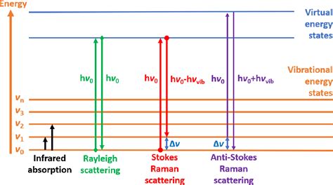 Figure 1 From Molecular Fingerprint Detection Using Raman And Infrared