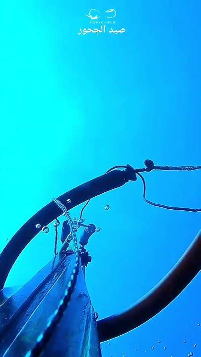 صيد الجحور Youtube