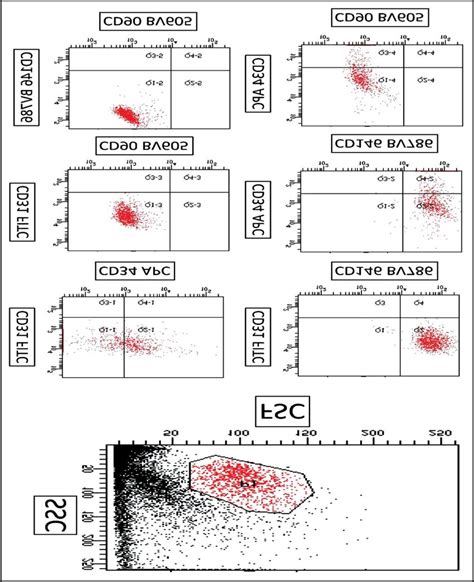 Flow Data Showing Gated Population Ssc Vs Fsc Cd31 Vs Cd34 Cd31 Vs