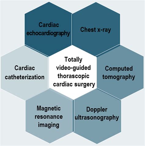 Multimodality Cardiovascular Imaging For Totally Video Guided Thorascopic Cardiac Surgery