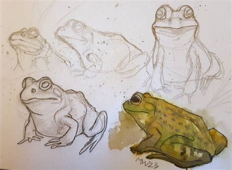 Sketchbook Museum 1 By Justcallmemrm On Deviantart