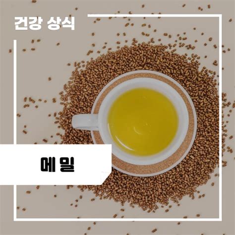 메밀차 효능 및 부작용 칼로리 카페인 물 대신 네이버 블로그