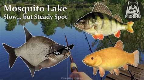 Russian Fishing 4 I Got Golden Tench Slow Fishing At Mosquito Lake