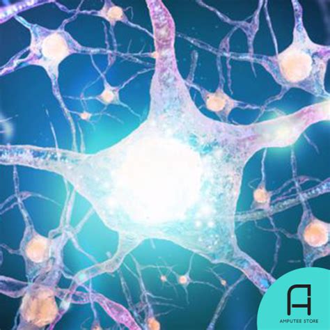 Cutting Edge Neuroprosthetic System Mimics Natural Limb Amputee Store