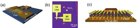 A B Schematic And Optical Image Of Mim Structure Of Tmd Crossbar
