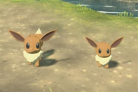 Requests Closed — Tiny Eevee