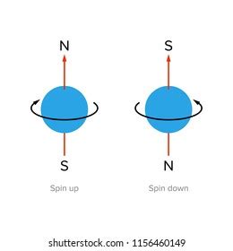 Spin Quantum Number Electron Spin Scientific Stock Vector Royalty Free Shutterstock