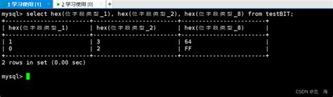 Mysql Csdn