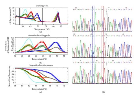 Snp Genotyping By Hrm With Unlabeled Probe A Derivative Melting Download Scientific Diagram