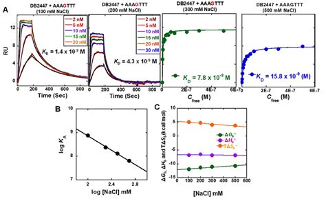 Comparison Of Equilibrium Binding Constants Ka M −1 Of Phenyl And
