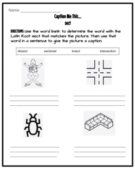 Latin Root Sect Practice By Creativity In Teaching Tpt