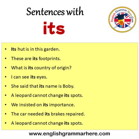 Sentences With Its 9 Sentences With Its In English English Grammar Here