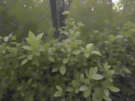 Ai Machinelearning Businesstransformation Predictiveanalytics Rohit Parmar Mistry