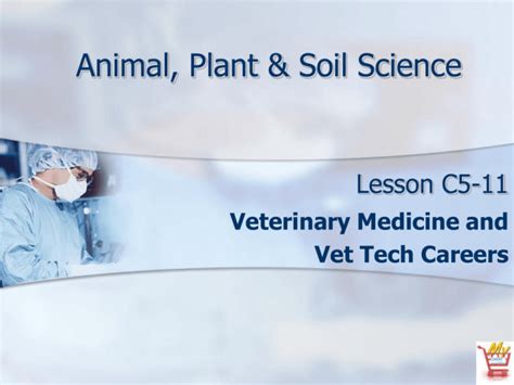 Veterinary Technicians