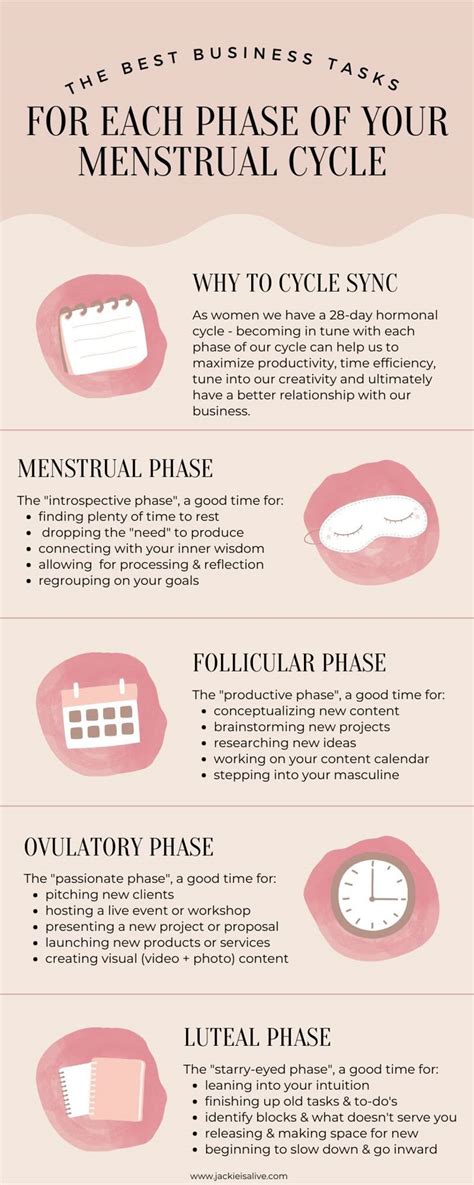 The Best Business Tasks For Each Phase Of Your Menstrual Cycle