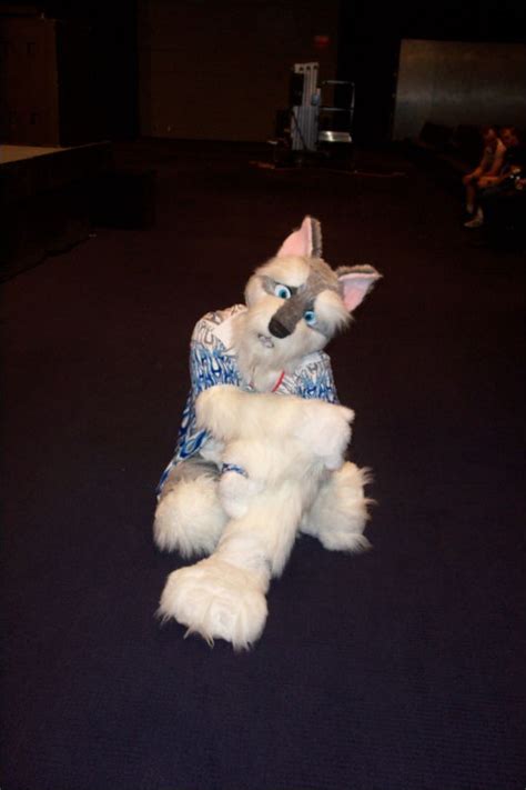 The Fursuit Archive Sonicgod Ac2006 0617 002