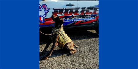 Police Department Receives K9 Body Armor Donation