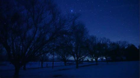 雪の桜並木と真冬の星空（sonyα7sⅢリアルタイム動画） Youtube