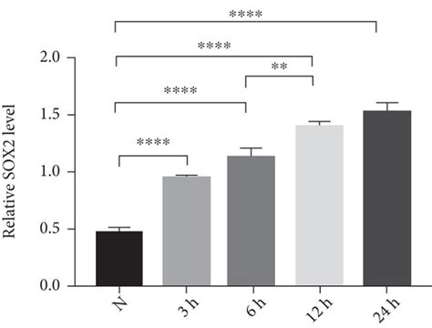 The Effect Of Sox2 On Ros Induced Hacat Cell Emt And Migration Under