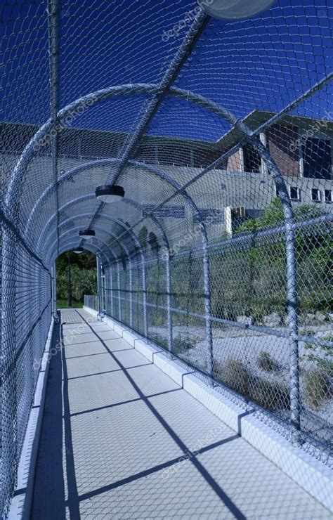 Does Anyone Know Of Any Chain Link Covered Walkways On The Workshop Theyre All Over America
