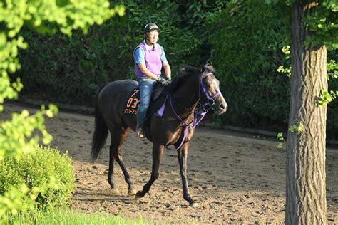 【ラジオnikkei賞】厩舎の話｜競馬ニュース｜競馬予想のウマニティ