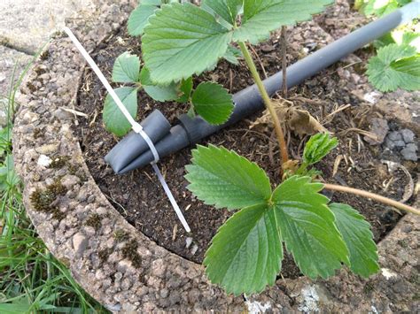 Irrigation Pegs 16mm By Ueda Download Free Stl Model