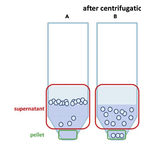 Volumetric Mass Density Dynamic Viscosity Osmolality And Ph Of Download Scientific Diagram