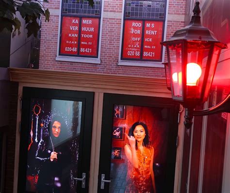 Mind Blowing Interview With Amsterdam Window Prostitute And