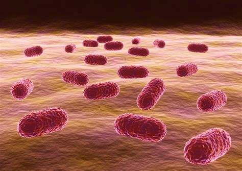 Scientists Use Ai To Find New Antibiotic To Treat Deadly Superbug The