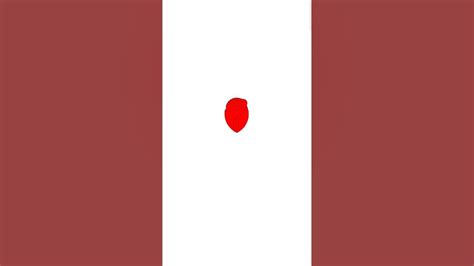 New Coding Rosecomputerprogramming Youtube