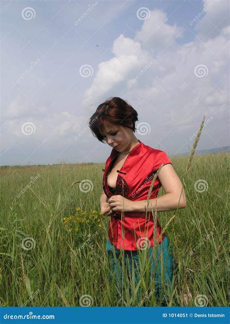 Undressing Stock Image Image Of Sexual Green Girl 1014051