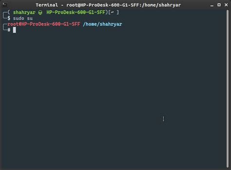 GitHub Shahryar Pirooz BiraSkull Zsh Theme I Like The Bira Zsh Theme