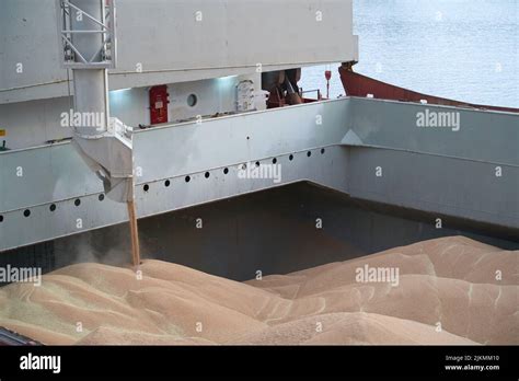 Loading Corn Onto A Bulk Carrier Ship In The Port At The Grain Terminal Port Grain Elevator