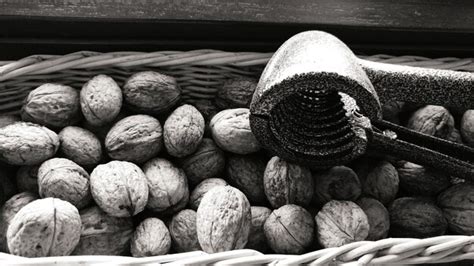 Premium Photo Close Up Of Shells