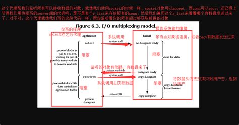 sheng的学习笔记 io多路复用，nio bio aio 编程爱好者博客