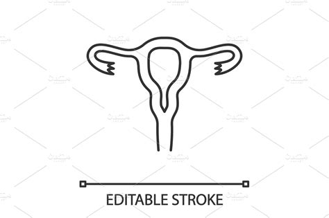 Uterus Fallopian Tubes Vagina Icon Vector Graphics ~ Creative Market