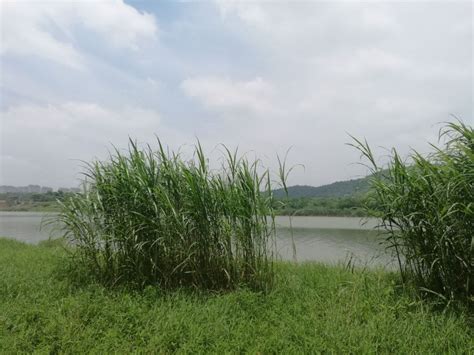 2023巴溪洲游玩攻略巴溪洲在湘府路大桥往南好几【去哪儿攻略】