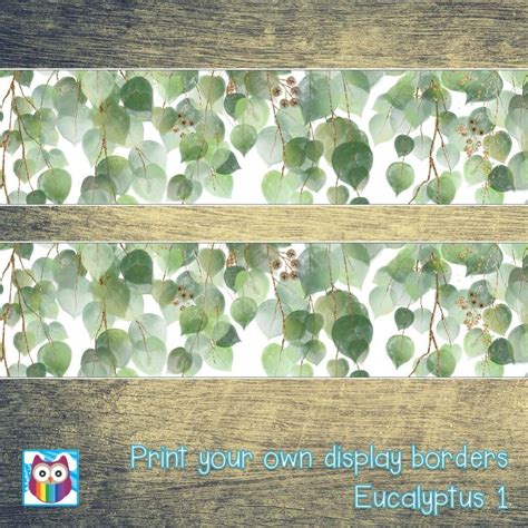 Classroom Display Borders Primary Classroom Resources