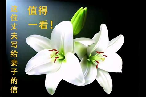 这位丈夫写给妻子的信，值得一看！情感人生导师好看视频