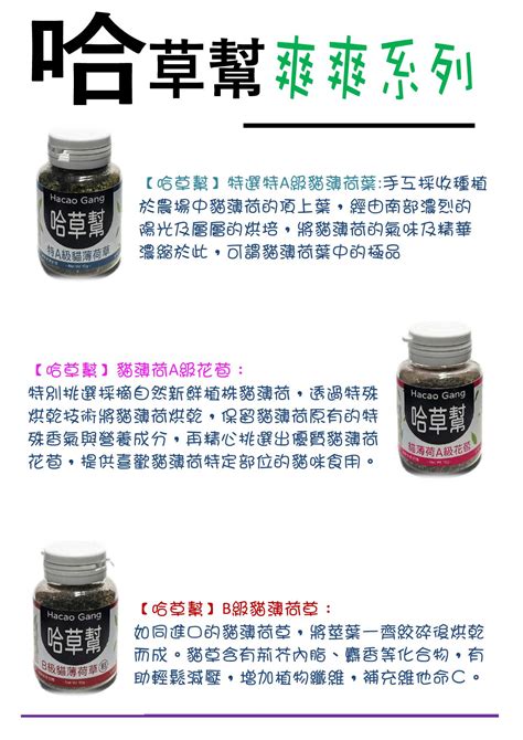 【哈草幫】貓草 特級貓草 貓草花苞 薄荷粉 樂透 神奇貓草 貓草 棒棒糖 【貓愛吃】 貓零食 蝦皮購物