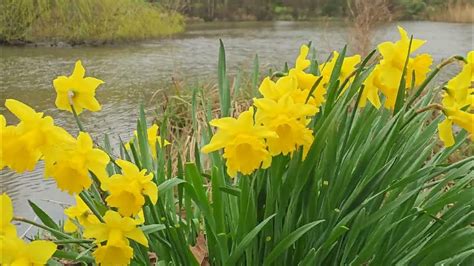 Shortcut To Sleep Youtube