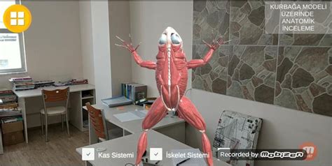 Figure 6 From Development Of Augmented Reality Application For Biology Education Semantic Scholar