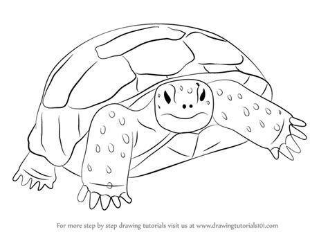 Gopher Drawing At Explore Collection Of Gopher Drawing